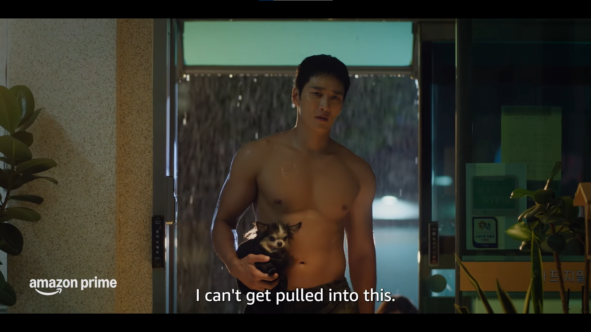 Аниме Весенняя лихорадка / Spring Fever смотреть онлайн